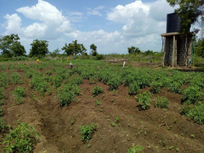 An Update on Tana River Projects | THE DUNNINGS IN KENYA